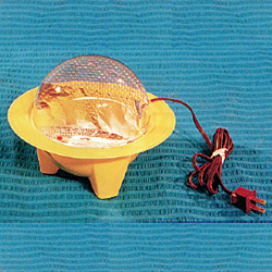 Anstey Hatchery